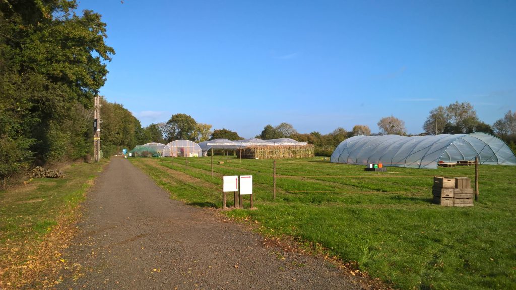 NEW HOME AT PRIMROSE VALE - Cotswold Posy Patch